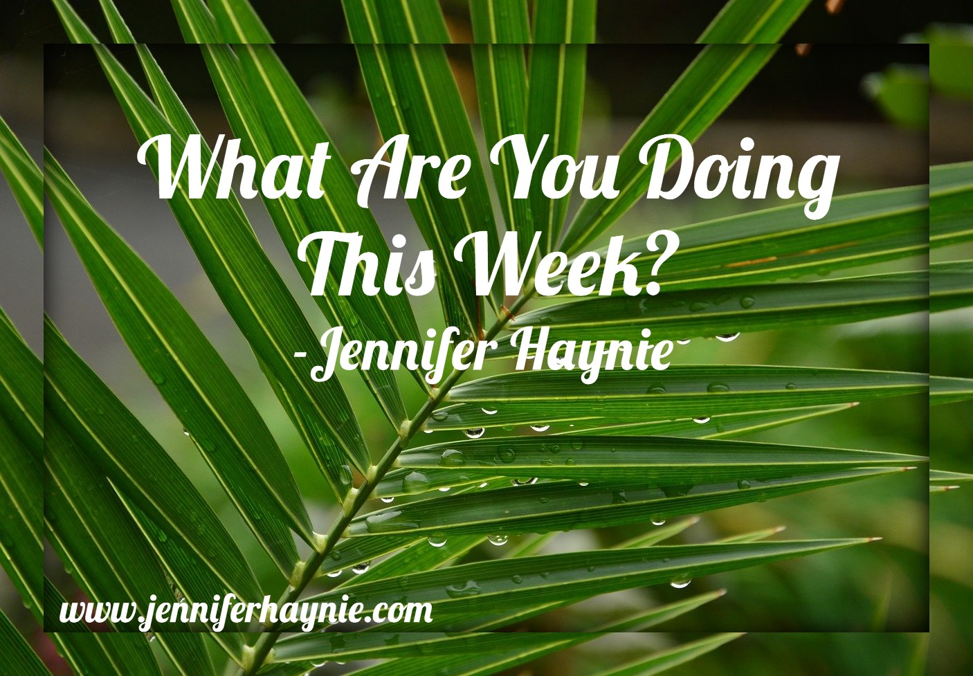 What Are You Doing This Week Jennifer Haynie Jennifer Haynie On what-are-you-doing-this-week-jennifer-haynie-jennifer-haynie-on